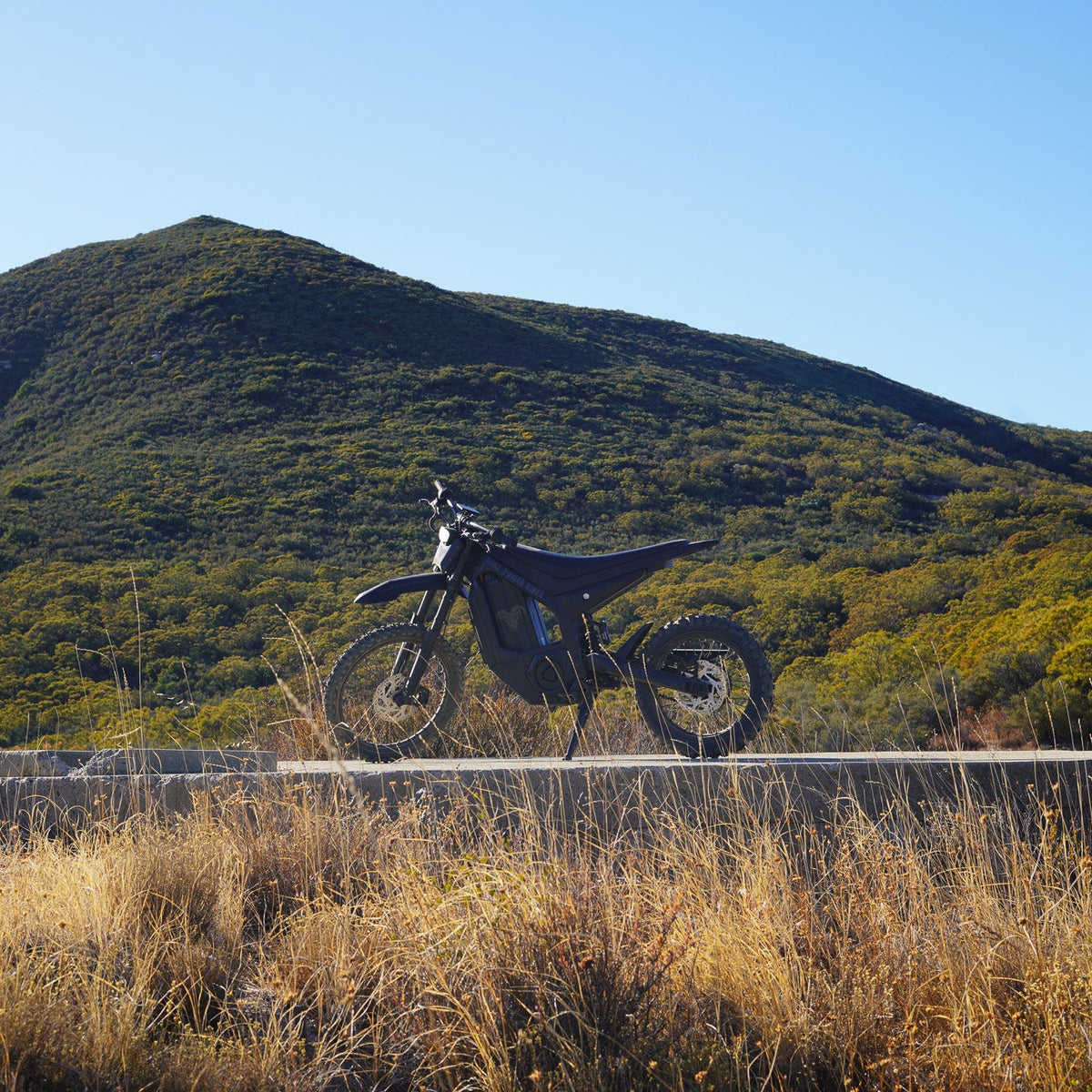 RRR04394.jpg?crop=center&height=1200&v=1769545600&width=1200