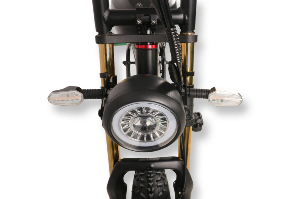 E-Bikes – Goat Power Bikes