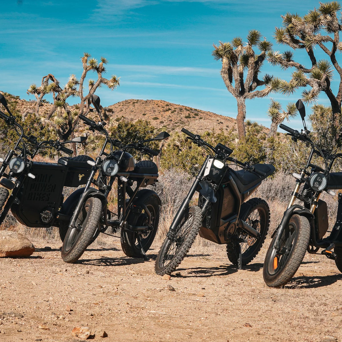 571239850_122264167808061220_5481657341412736990_n.jpg?crop=center ...