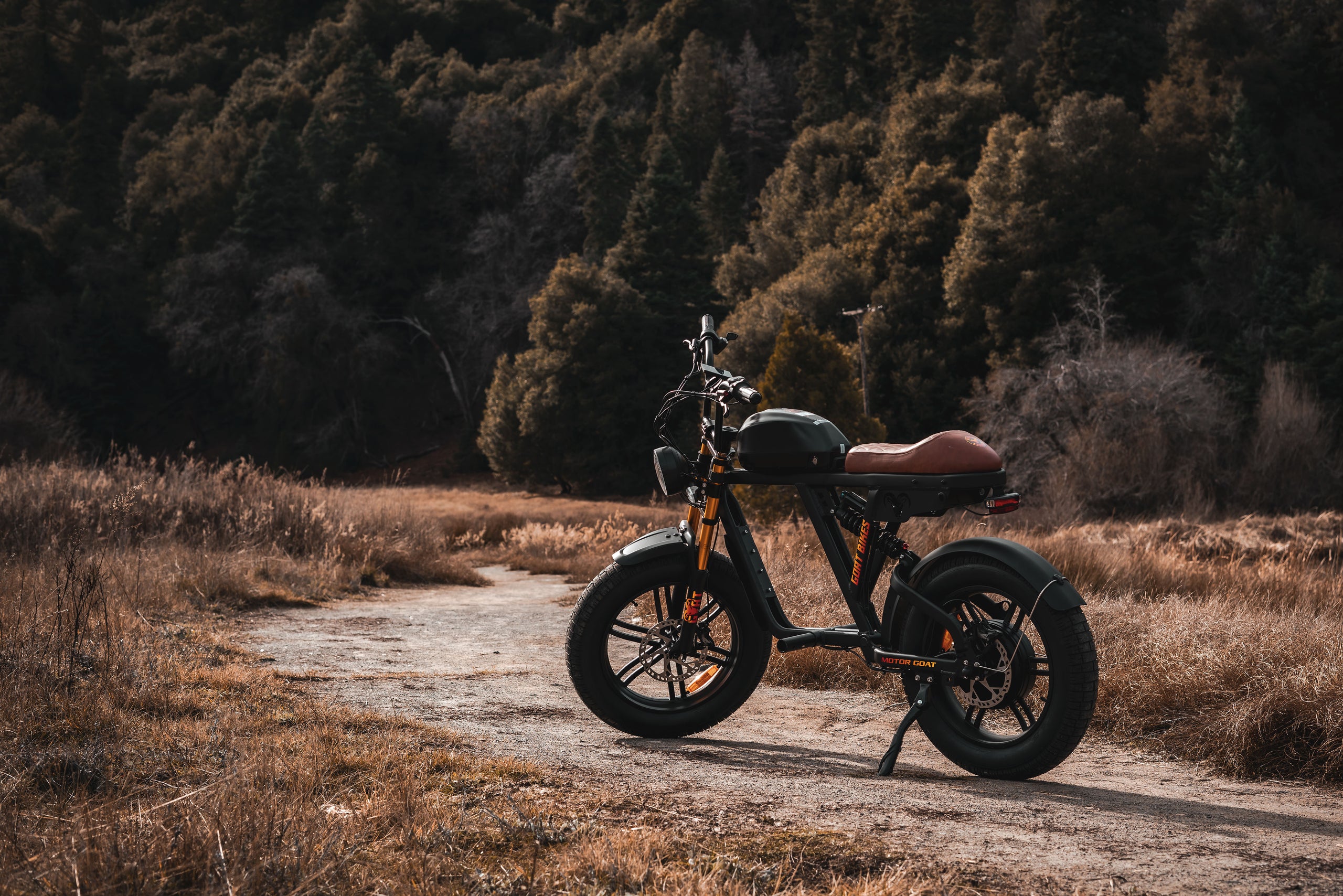 Pioneering Pedal & No-Pedal E-Bikes & Scooters - Southern California